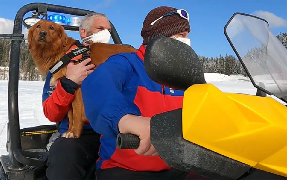 Allrounder auf vier Pfoten - JK9