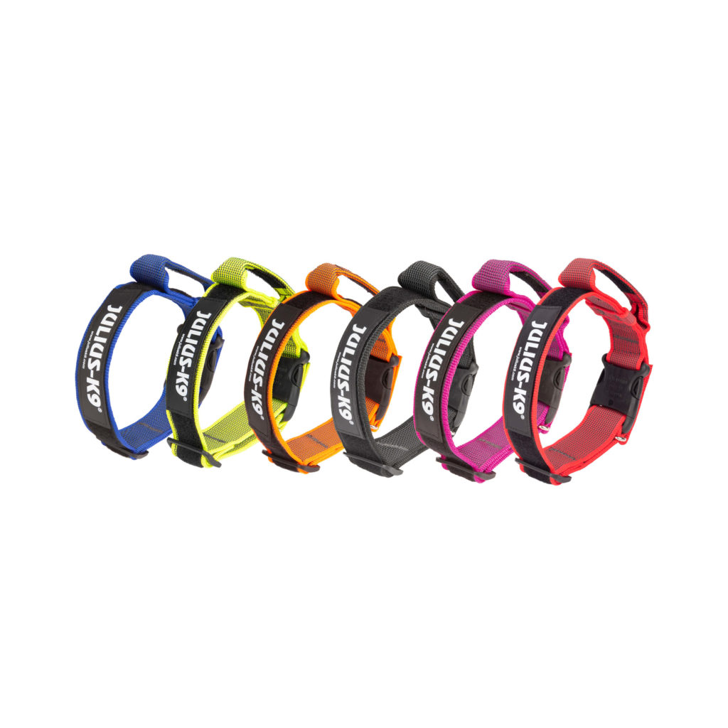 IDC Color & Gray collar with handle guide - JK9